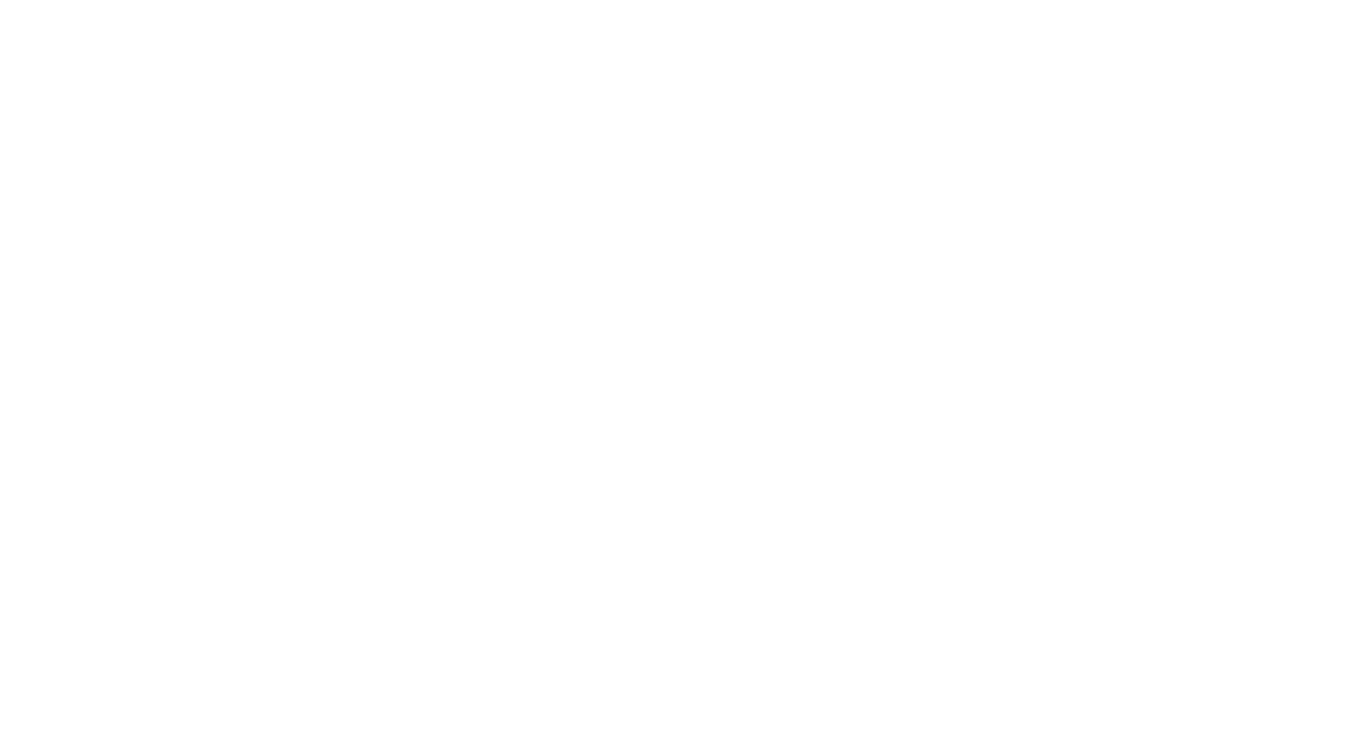 Caribex SRL – Agencia de Aduanas